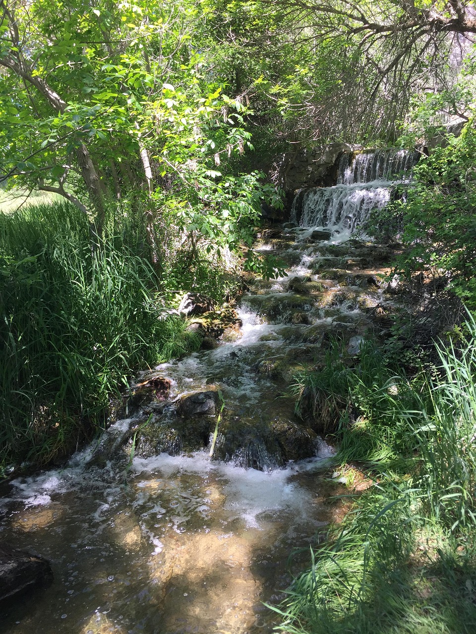L'Eau Idaho Nature Twin - Photo gratuite sur Pixabay