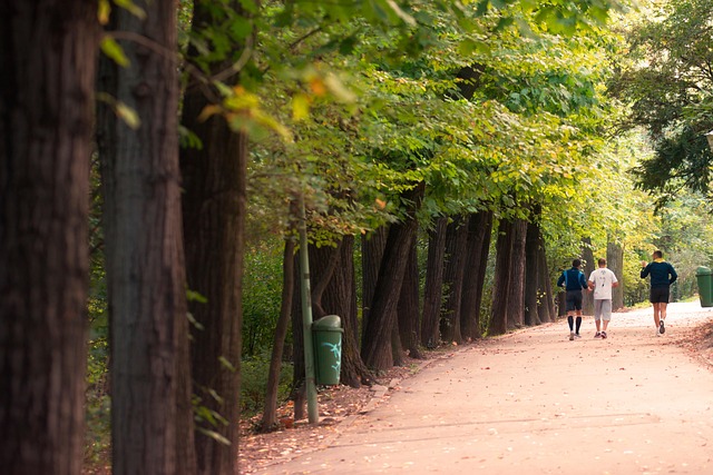 Alley Park People - Free photo on Pixabay - Pixabay