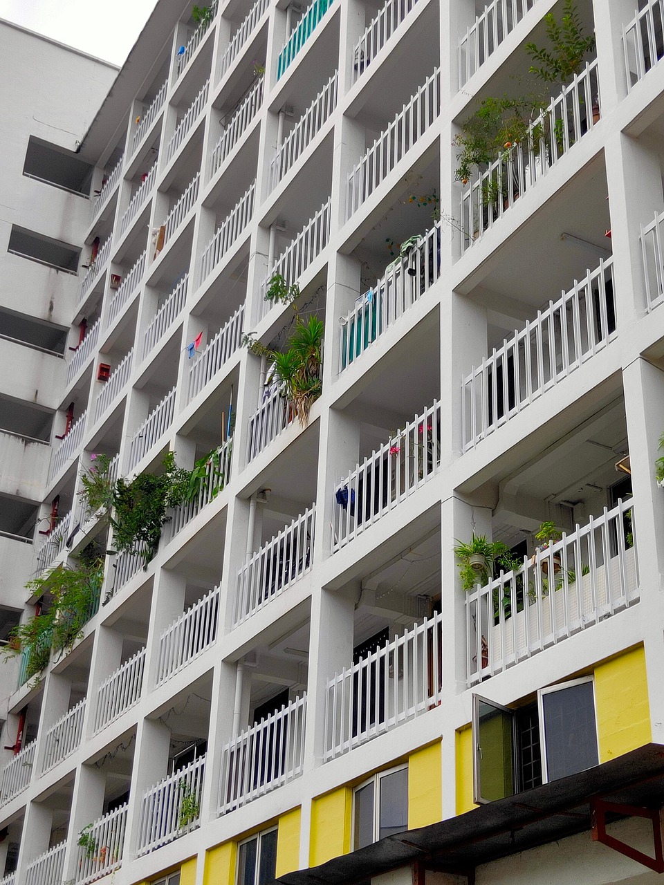 House Flat Singapore Old - Free photo on Pixabay - Pixabay