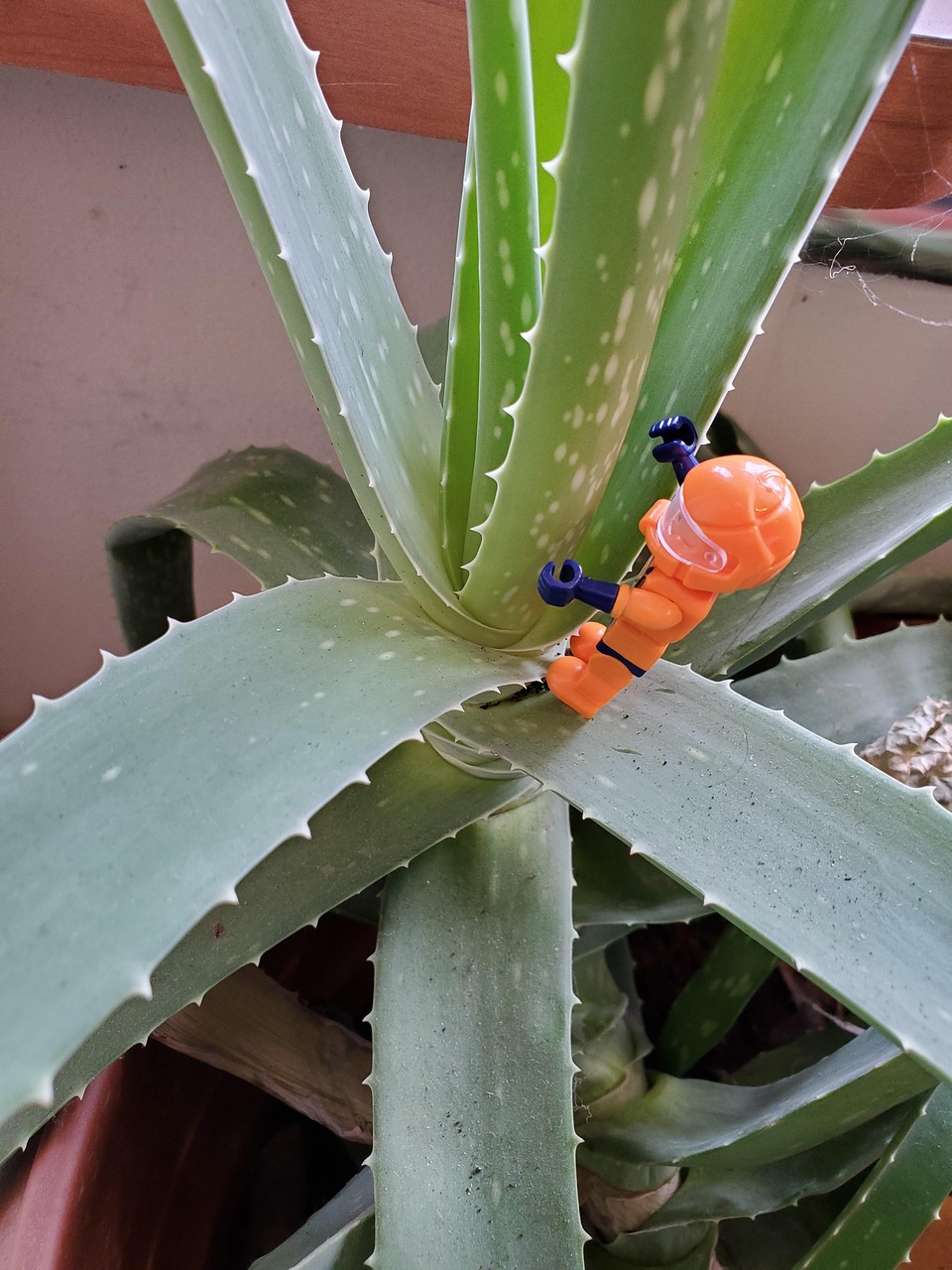 Lego Man Climbing - Free photo on Pixabay - Pixabay