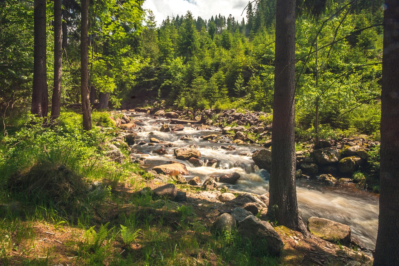 Hiking Ore Mountains Home - Free photo on Pixabay