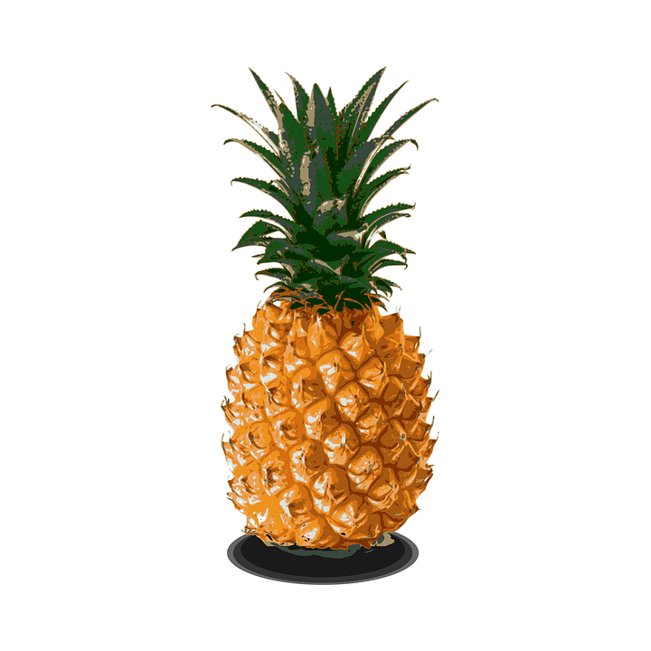 Fruit Ananas Tropical - Images vectorielles gratuites sur Pixabay