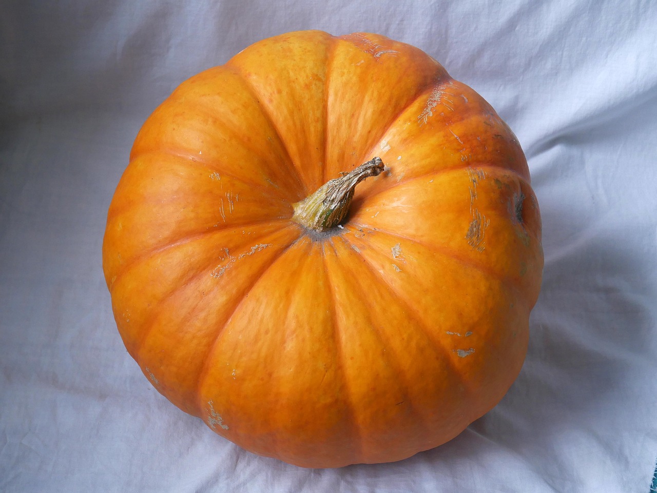 Citrouille Halloween Automne - Photo gratuite sur Pixabay - Pixabay