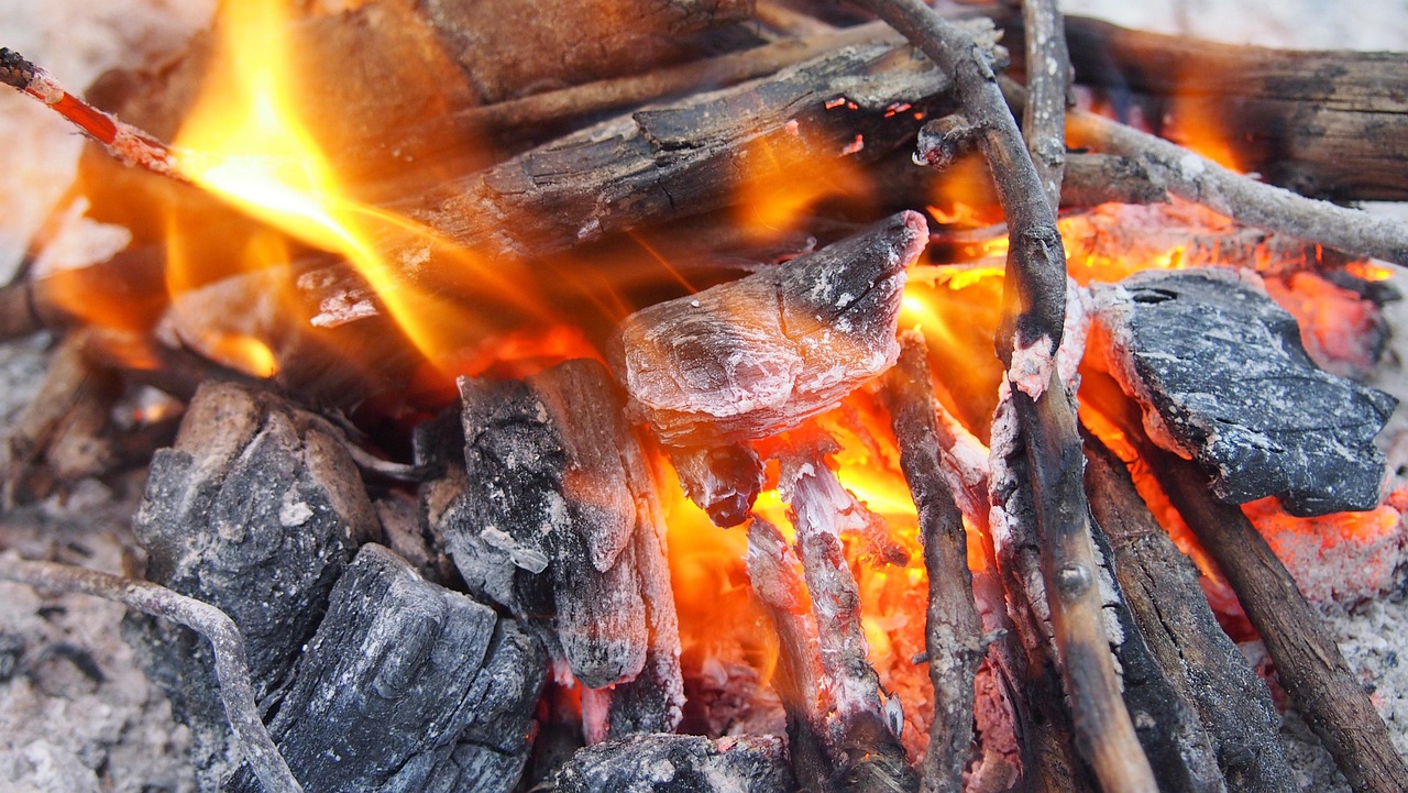Fuego Carbón Barbacoa - Foto gratis en Pixabay - Pixabay