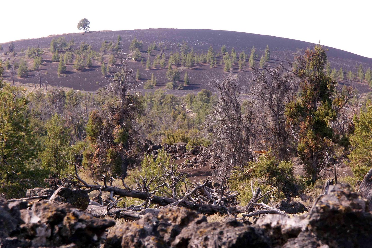 Craters Of The Moon Cinder - Free photo on Pixabay - Pixabay