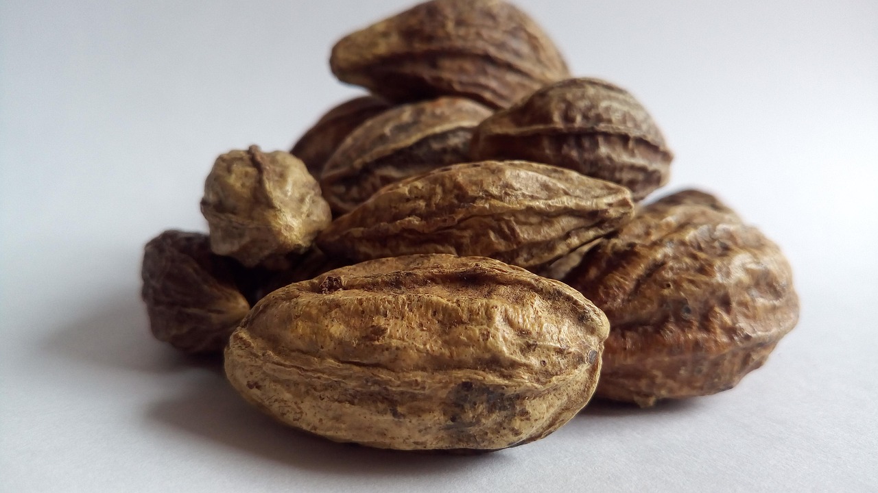 Haritaki Fruit Ayurvedic - Free photo on Pixabay - Pixabay