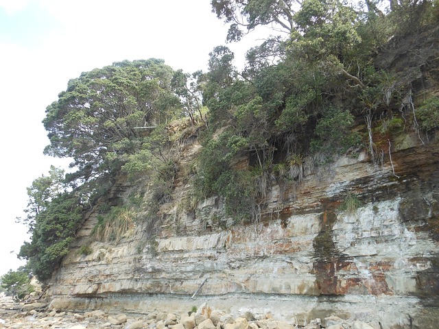 Cliff Overhanging Trees - Free photo on Pixabay - Pixabay