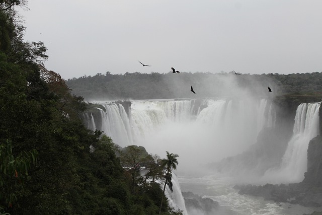 Waterfalls Of Iguaçu Mouth - Free photo on Pixabay - Pixabay