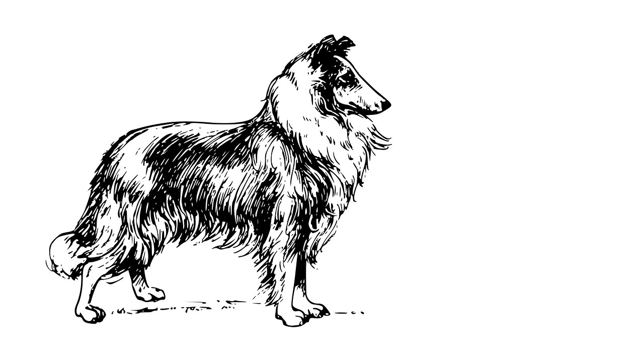 Free Dog Line Drawing Vector Art - Download 19,575+ Dog Line Drawing ...