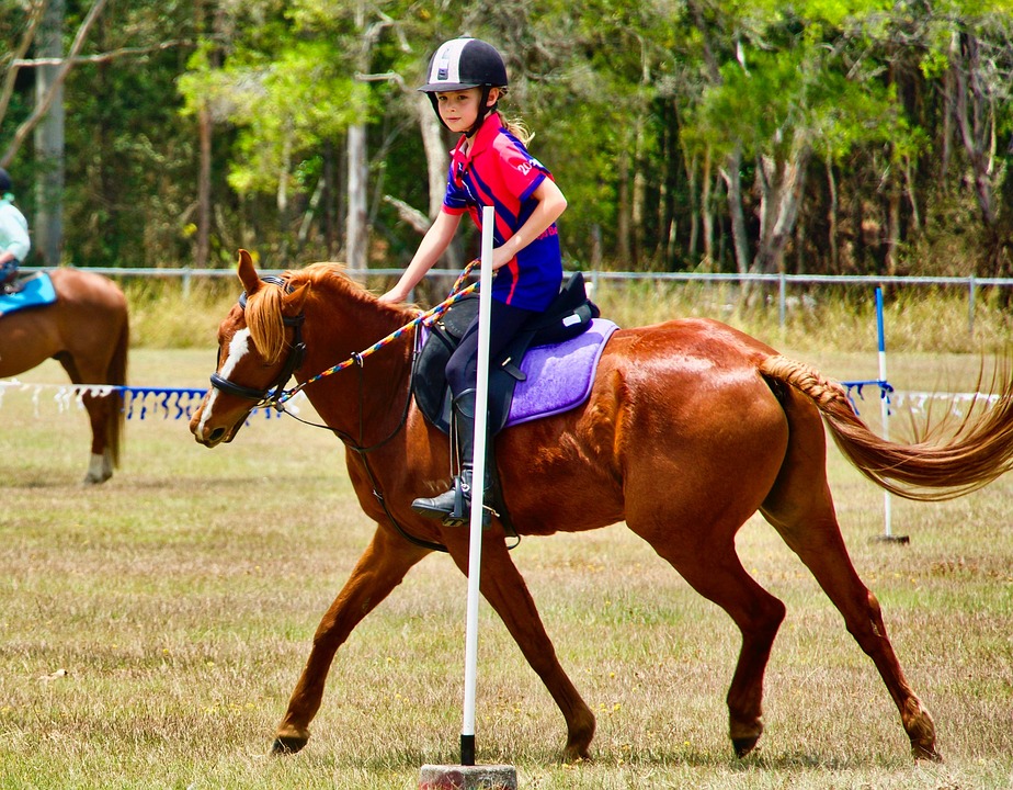 Horse Equine Equestrian - Free photo on Pixabay