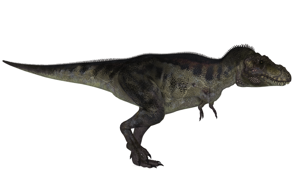 T Rex Dinosaurus Esihistoriallinen - Ilmainen kuva Pixabayssa