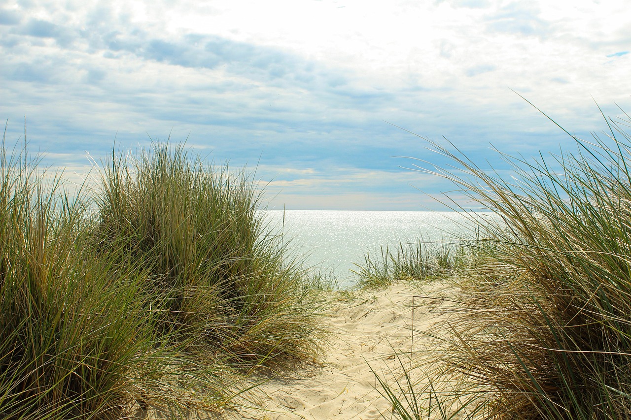 Beach Grass Sand - Free photo on Pixabay