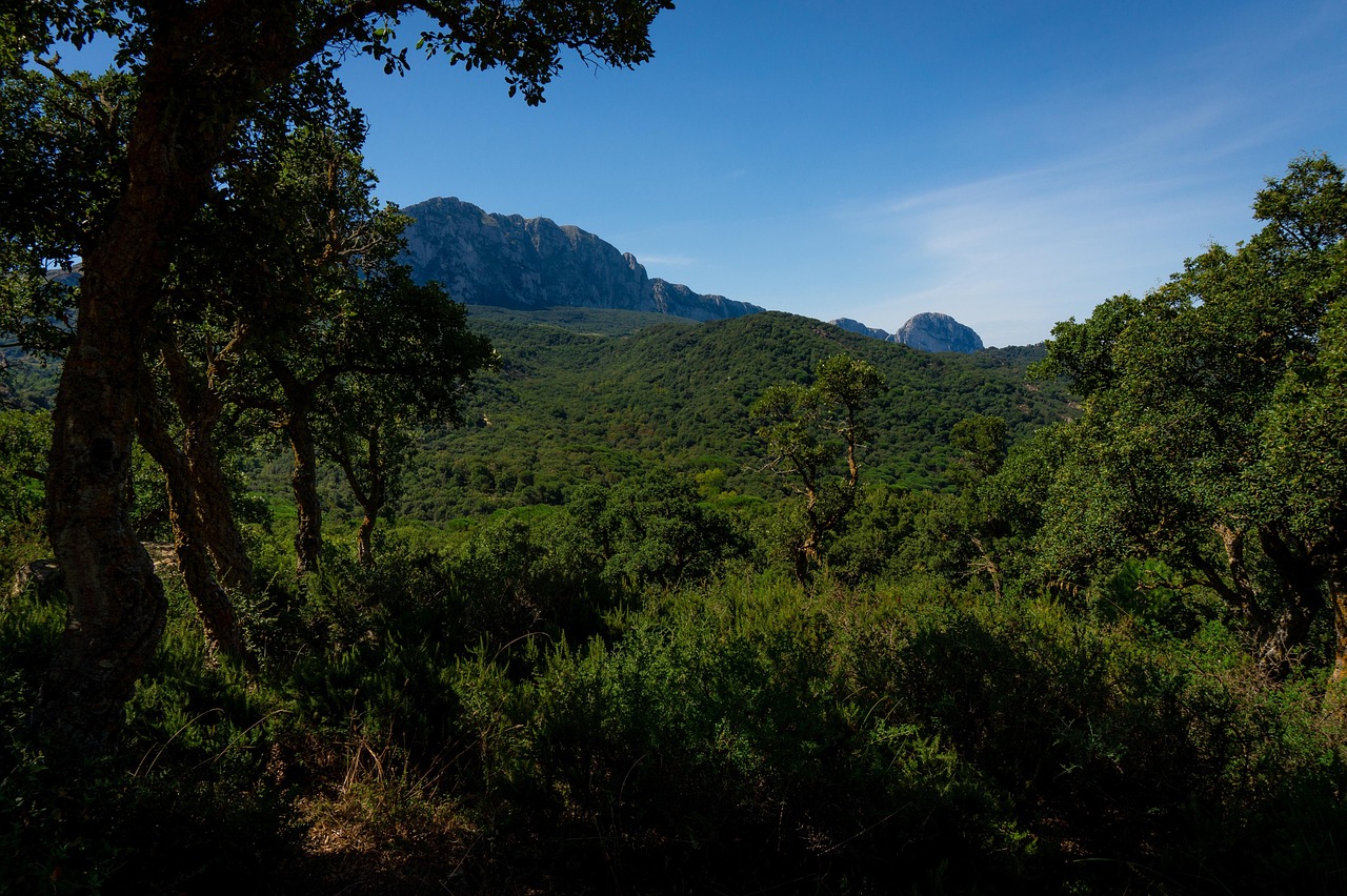 Nature Sicile Paysage En Plein - Photo gratuite sur Pixabay - Pixabay