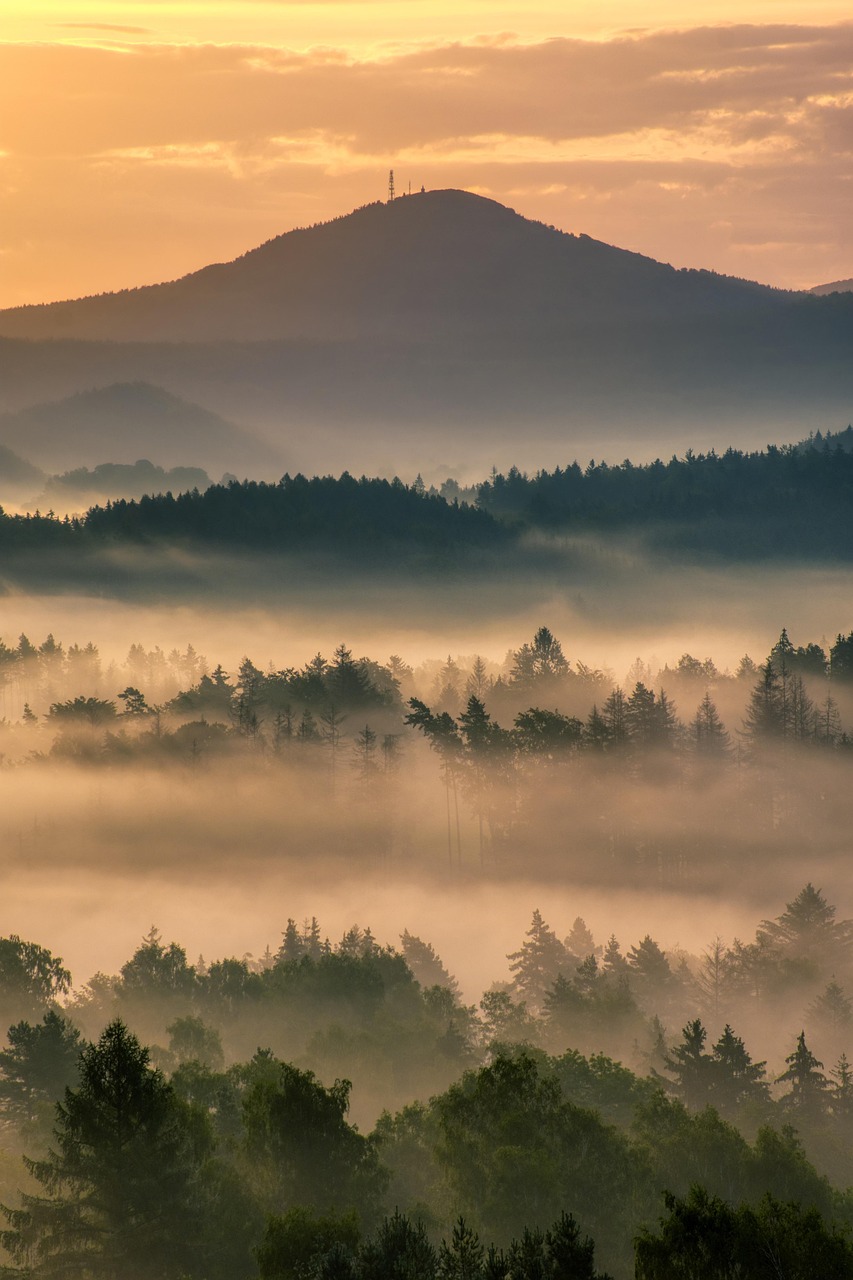 Sonnenaufgang Nebel Landschaft - Kostenloses Foto auf Pixabay - Pixabay