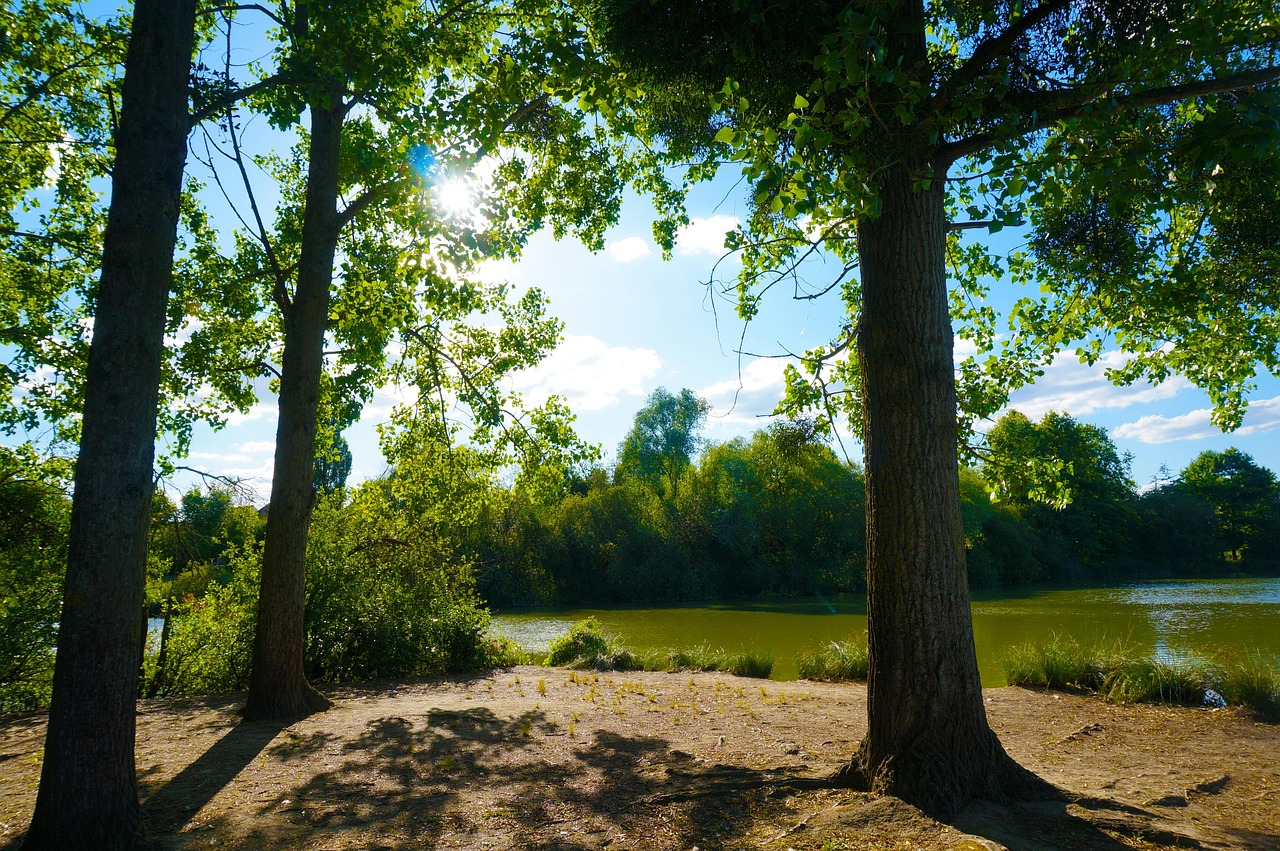 Lac Arbre Nature - Photo gratuite sur Pixabay - Pixabay