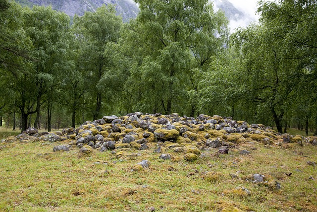 Viikinki Hautaaminen - Ilmainen valokuva Pixabayssa - Pixabay