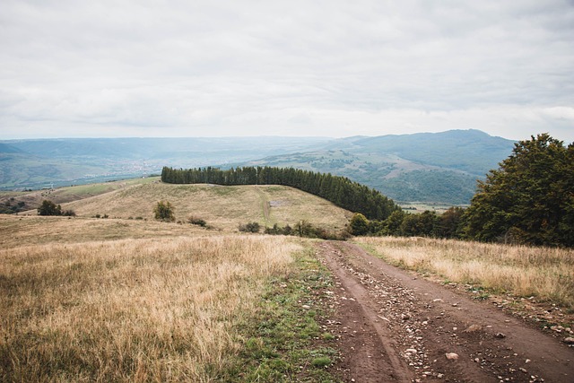 Wandern Berg Pfad - Kostenloses Foto auf Pixabay - Pixabay
