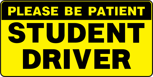 Download Vehicle Sign, Learner Driver, English. Royalty-Free Vector Graphic - Pixabay