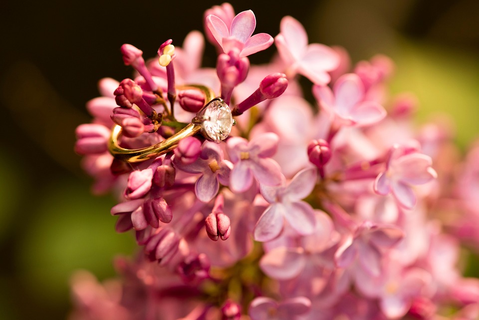 Lilac Ring Flowers Engagement - Free photo on Pixabay