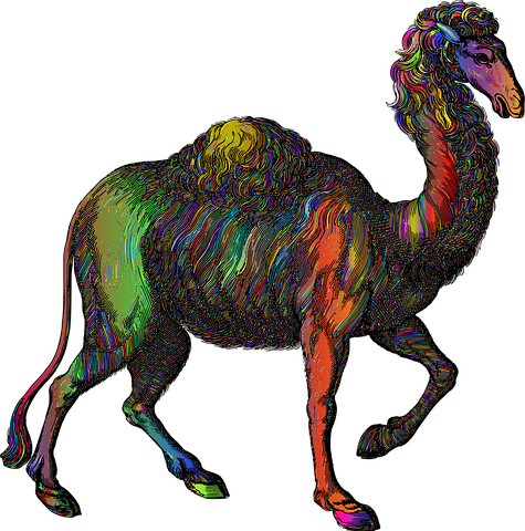 90+ Free Camel & Desert Vectors - Pixabay