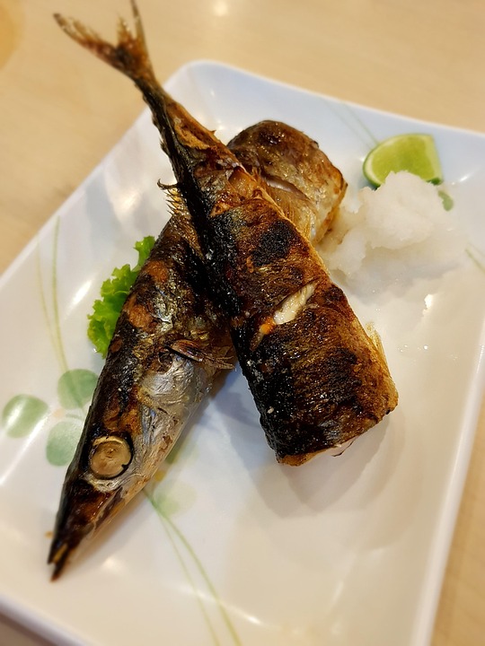 Japanese Food Grilled Fish - Free photo on Pixabay - Pixabay