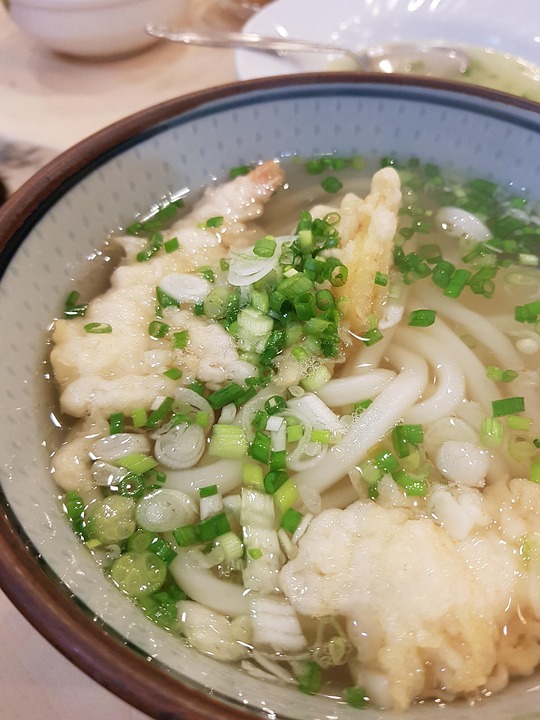 Japanese Food Udon - Free photo on Pixabay - Pixabay