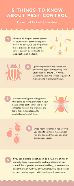 Parásito Insectos - Imagen gratis en Pixabay - Pixabay