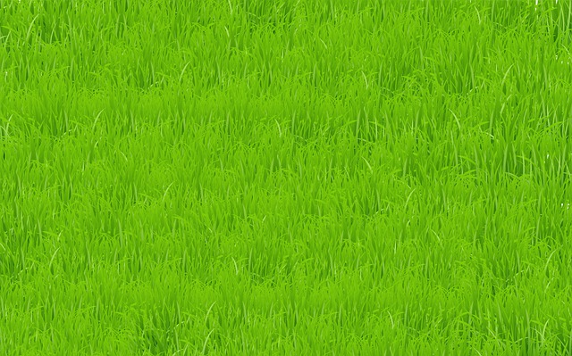 Download Grass, Lawn, Field. Royalty-Free Stock Illustration Image ...