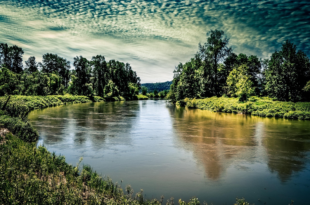 Rio Arvores Natureza - Foto gratuita no Pixabay - Pixabay