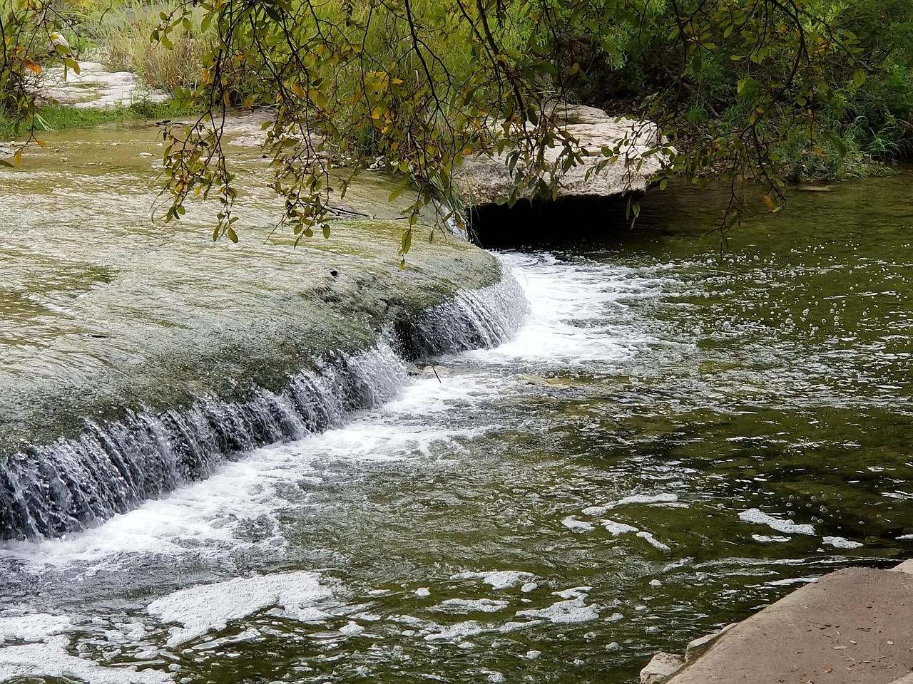 Wasser Bach Bachlauf - Kostenloses Foto auf Pixabay - Pixabay