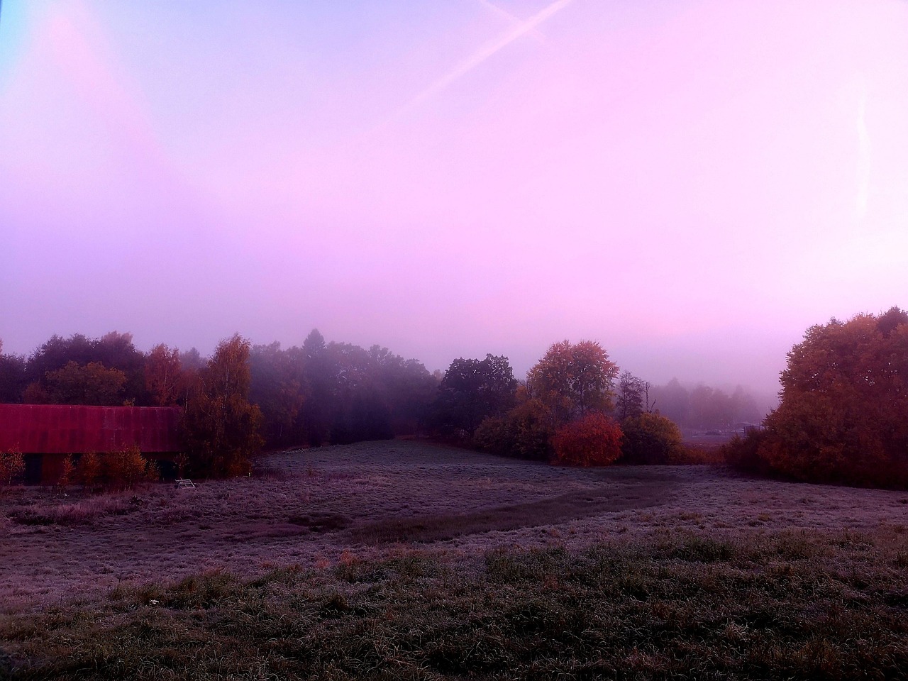 Dawn Autumn In The - Free photo on Pixabay - Pixabay
