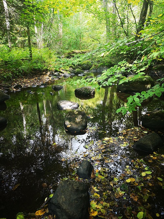 Water Stream Nature - Free photo on Pixabay - Pixabay