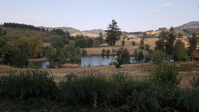 Panorama Melihat Alam - Foto gratis di Pixabay - Pixabay