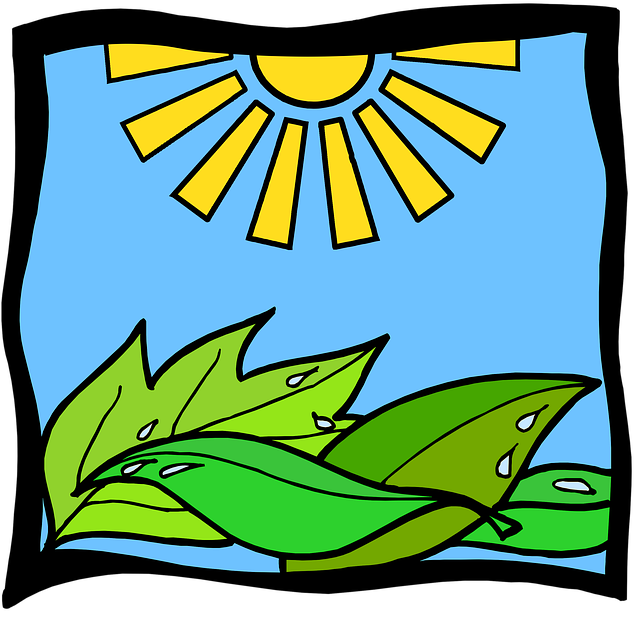 Download Plant, Sun, Photosynthesis. Royalty-Free Stock Illustration ...