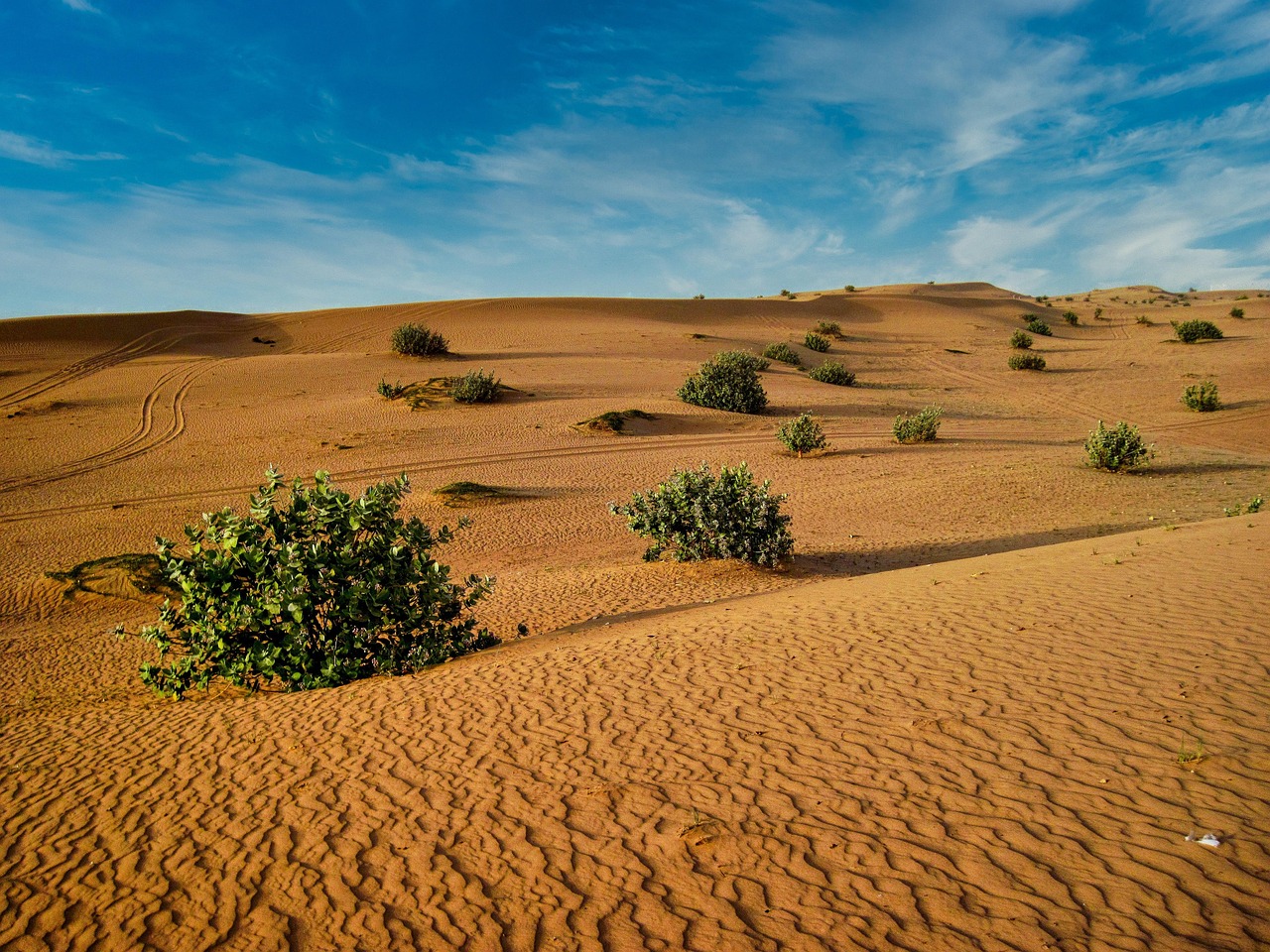 Uae Dubai Desert To - Free photo on Pixabay - Pixabay