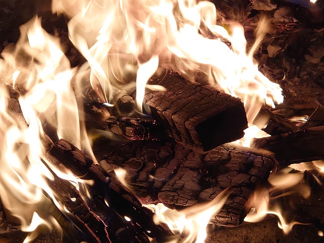 Fire Campfire Burn - Free photo on Pixabay - Pixabay