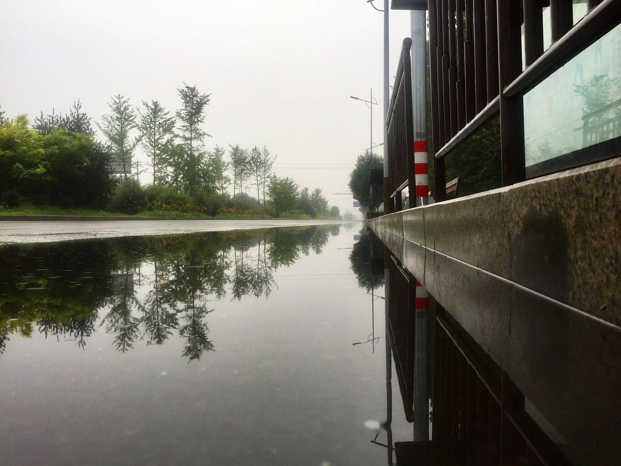 Street Pavement Stagnant Water - Free photo on Pixabay - Pixabay