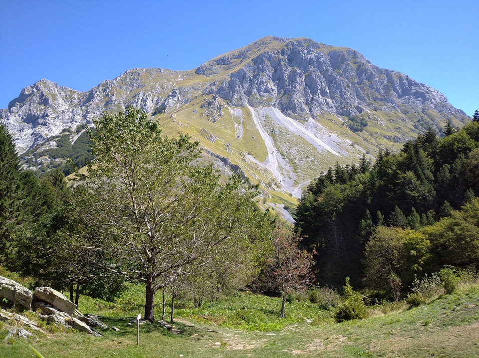 阿尔卑斯山脉 山 - Pixabay上的免费照片 - Pixabay