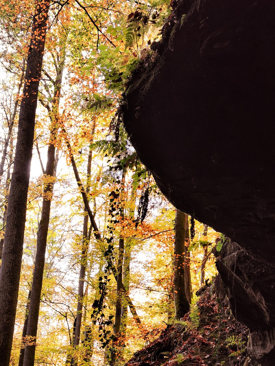 Roche La Nature Tombe - Photo gratuite sur Pixabay - Pixabay