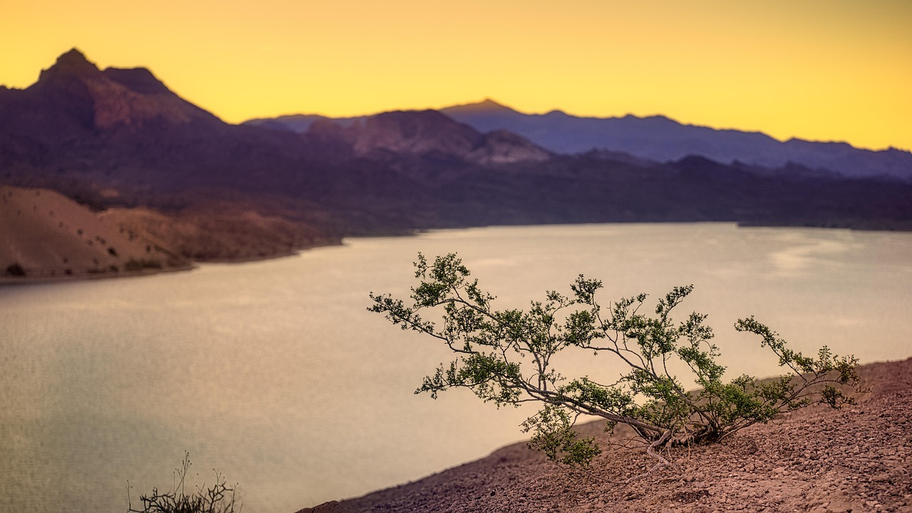 1,000+ Free Nevada & Sierra Nevada Images - Pixabay