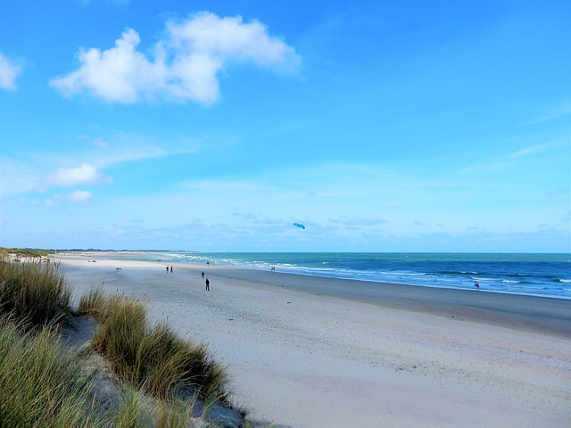 North Sea Beach - Free photo on Pixabay - Pixabay
