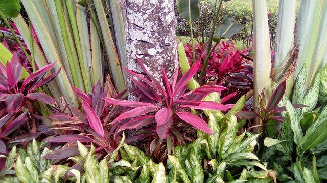 Planter Jardín Morada - Photo gratuite sur Pixabay - Pixabay