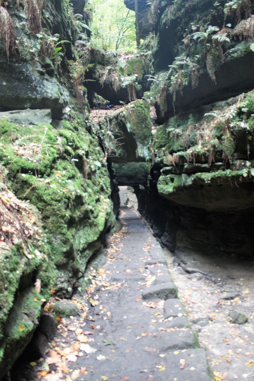 Elba Sandstone Mountains Suíça - Foto gratuita no Pixabay - Pixabay