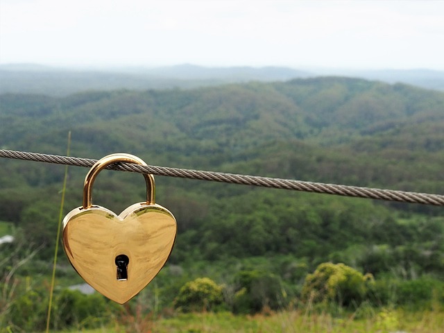 Nature Heart Lock - Free photo on Pixabay - Pixabay