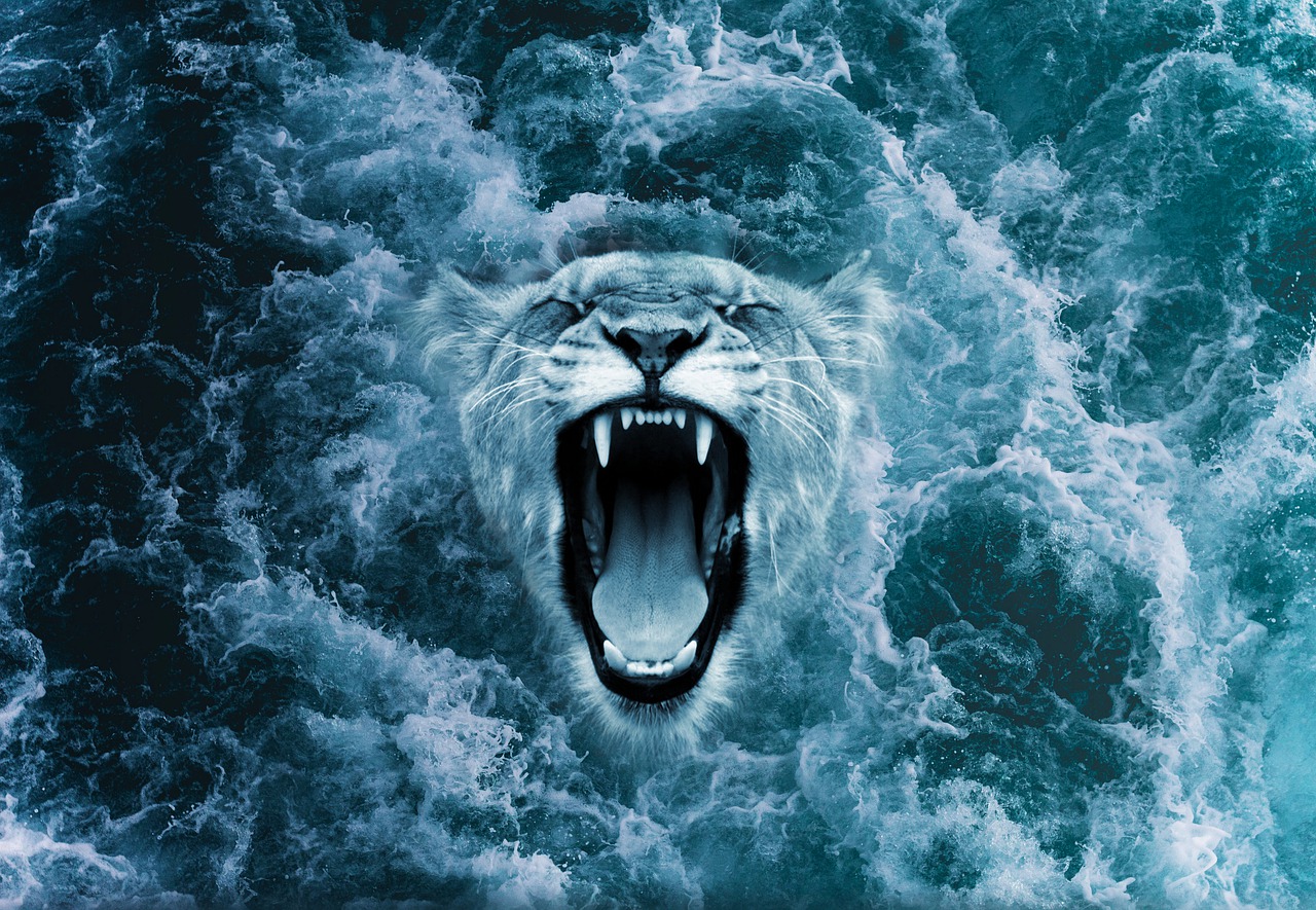 30,000 Lion Face Illustrations and Drawings - Pixabay