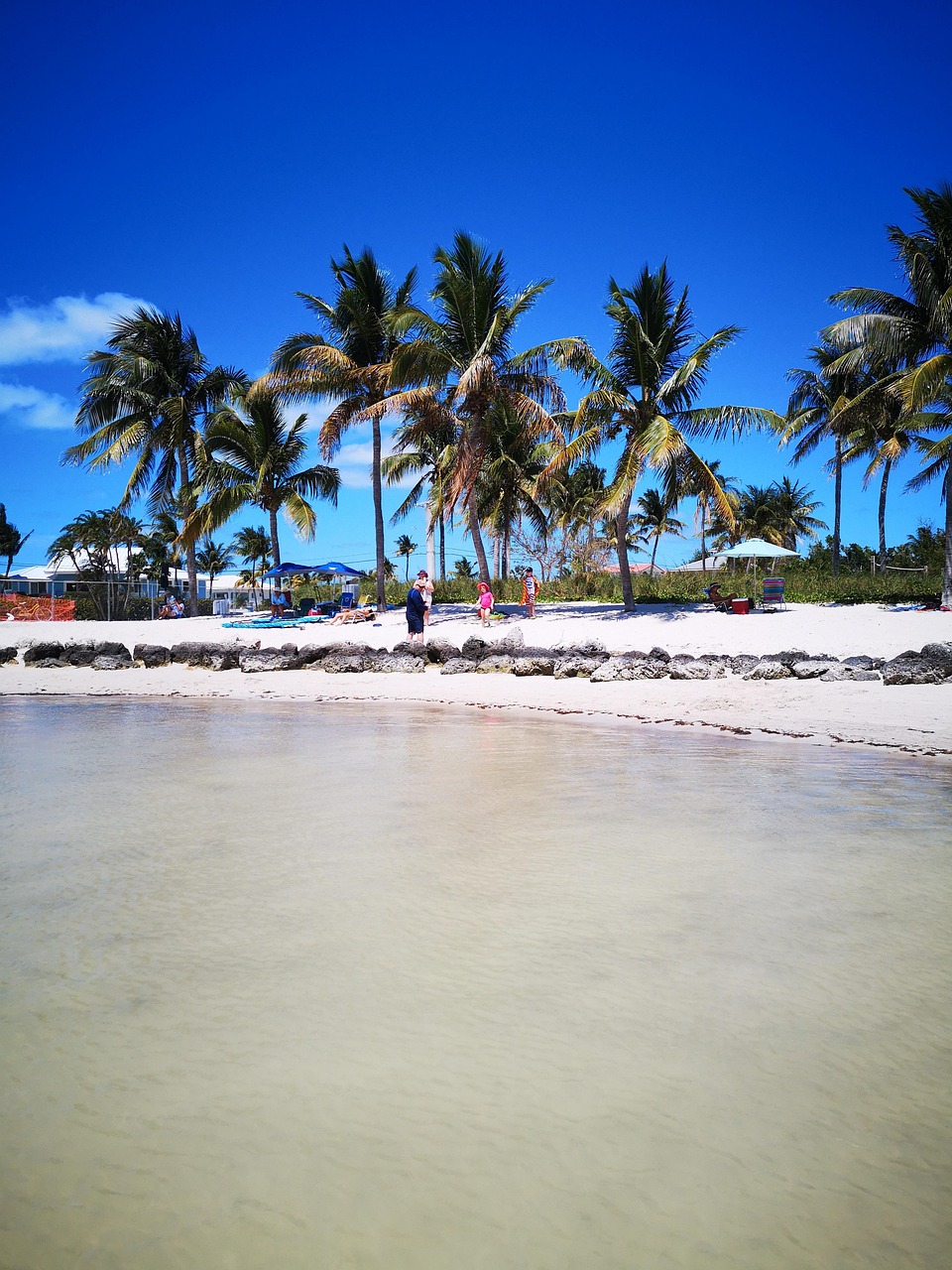 Florida Sea Miami - Free photo on Pixabay - Pixabay