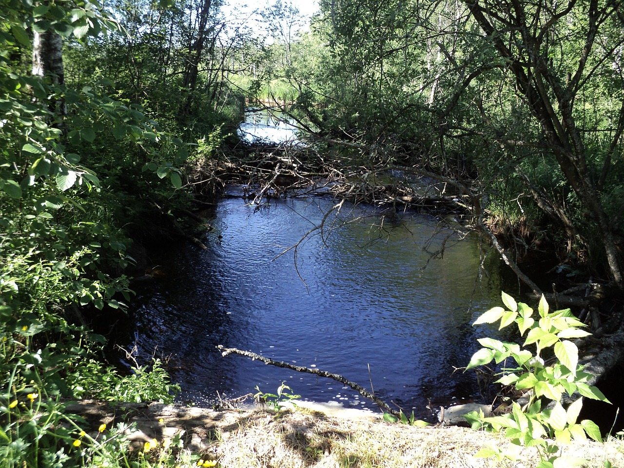 El Verano Arroyo - Foto gratis en Pixabay - Pixabay