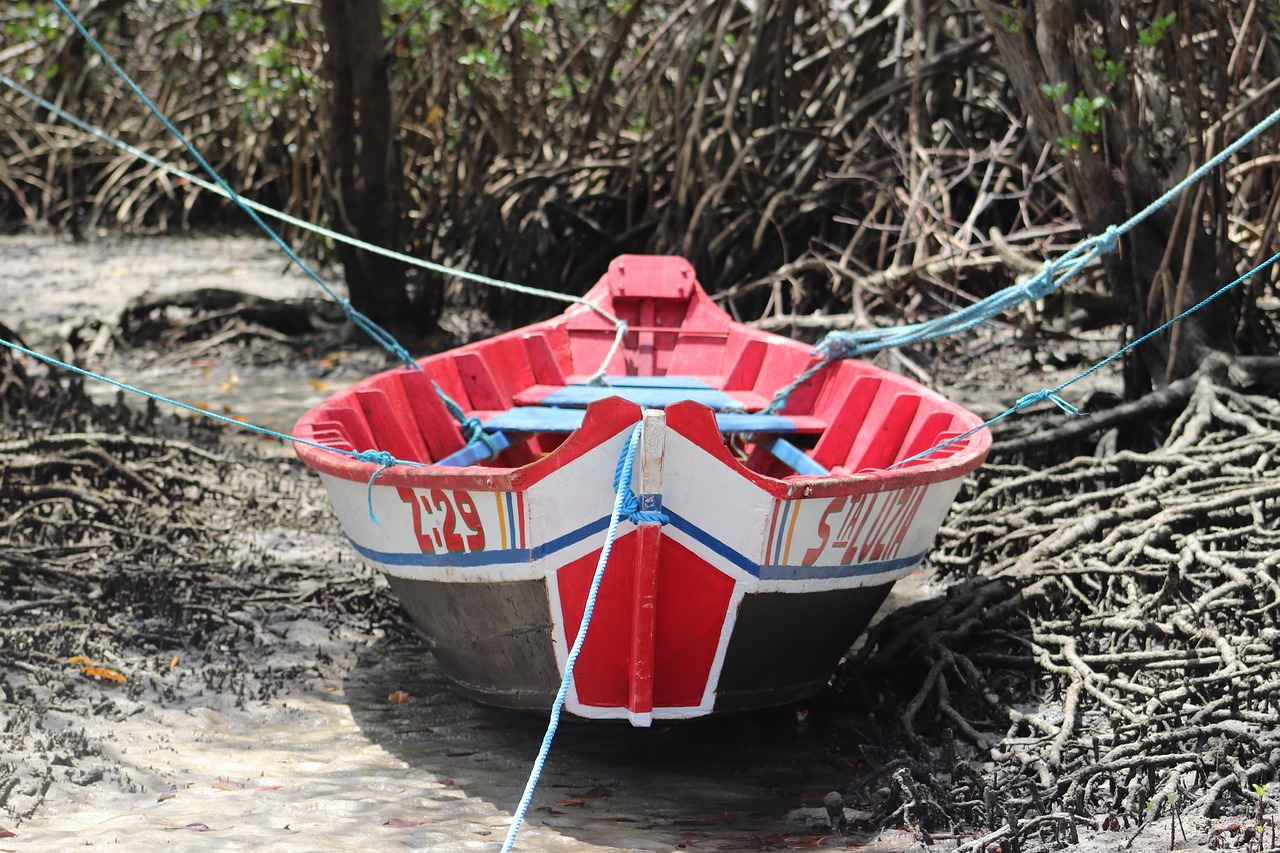 Canoe Boat Beach - Free photo on Pixabay - Pixabay