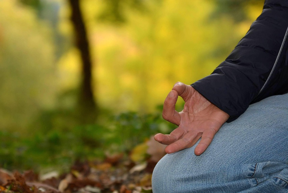 Lotus Position Meditation Zazen - Free photo on Pixabay