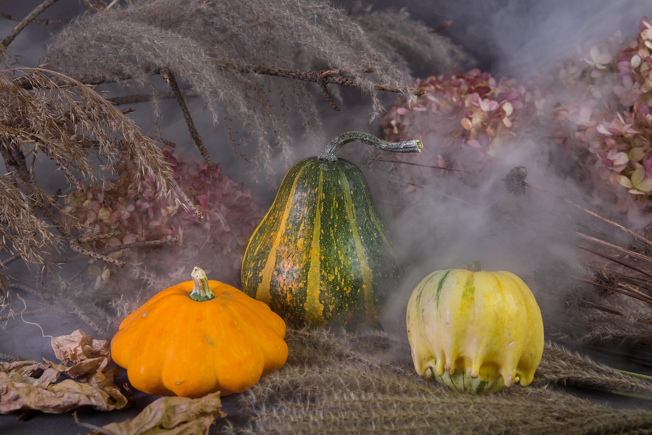 40+ Free Pumpkin Varieties & Pumpkins Images - Pixabay